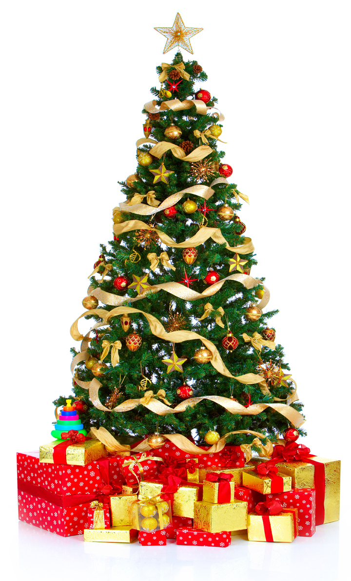 Christmas Tree Hire / Christmas Tree Rental